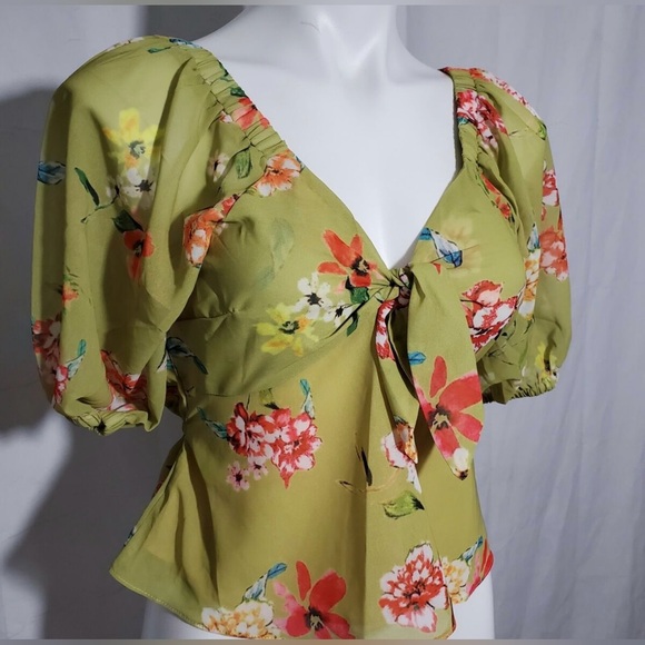 essue | Tops | Nwt Essue Green Puff Sleeve Blouse With Tie Front | Poshmark